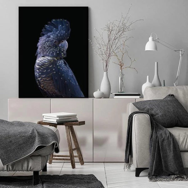 Wall Art Black Cockatoo A Canvas Prints Poster Prints Art Prints Melbourne Wall Art