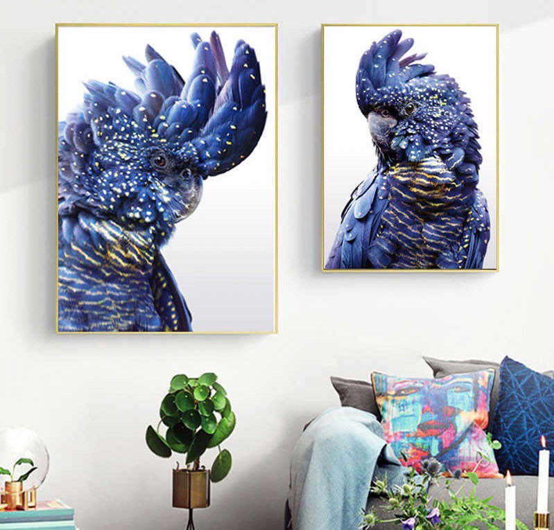 Wall Art Black Cockatoo A Canvas Prints Poster Prints Art Prints Melbourne Wall Art